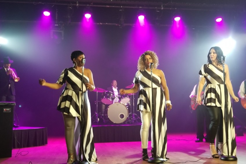 #DANCE! : Corporate Event Bands DC/NJ/MD/VA - 1-800-689-2263
