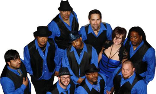 Professor D : Live Party Band - 1-800-689-2263